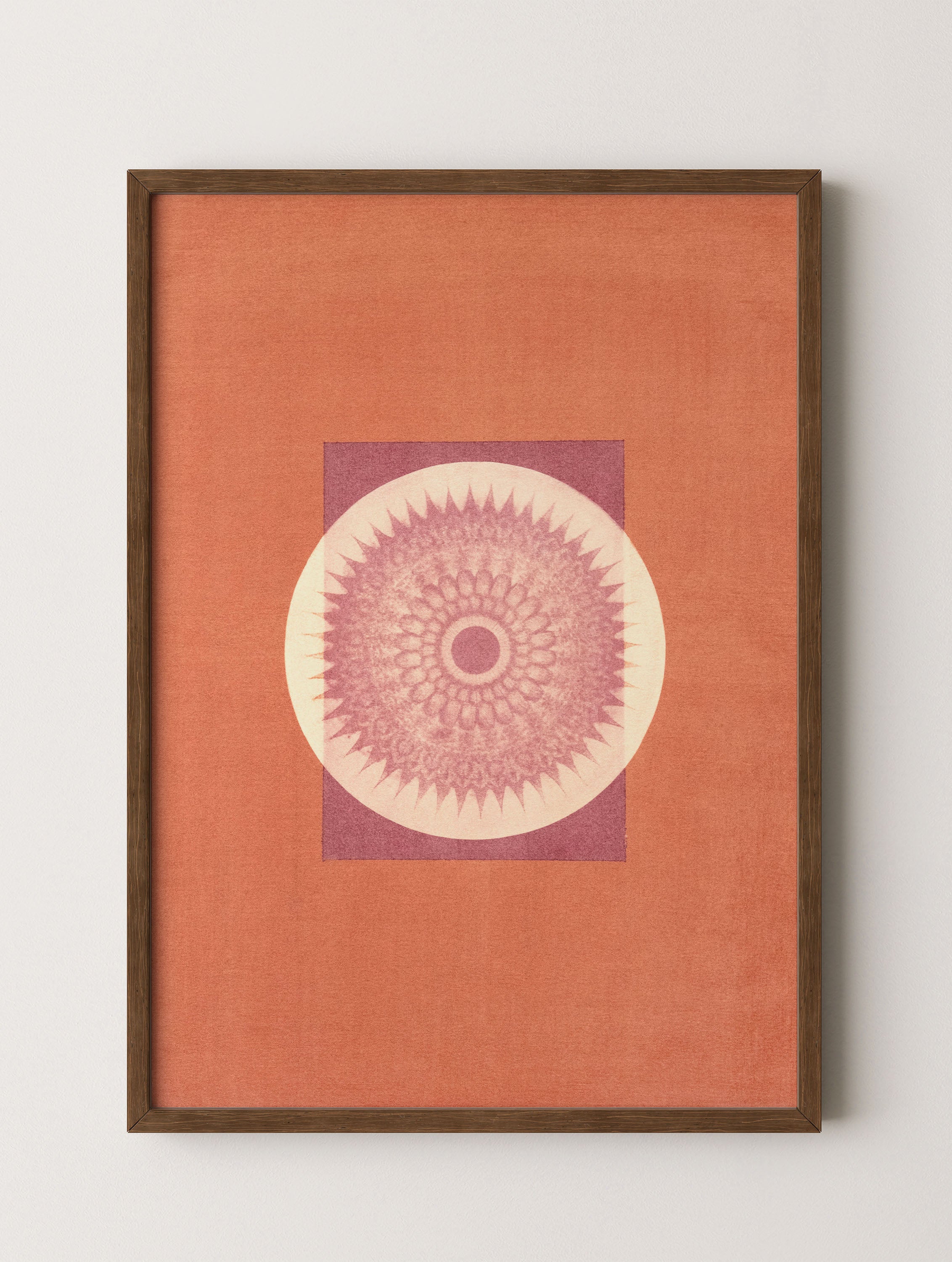 Desert Bauhaus XVII - Mandala Wall Art - Maxwell Marshall – Maxwell Prints