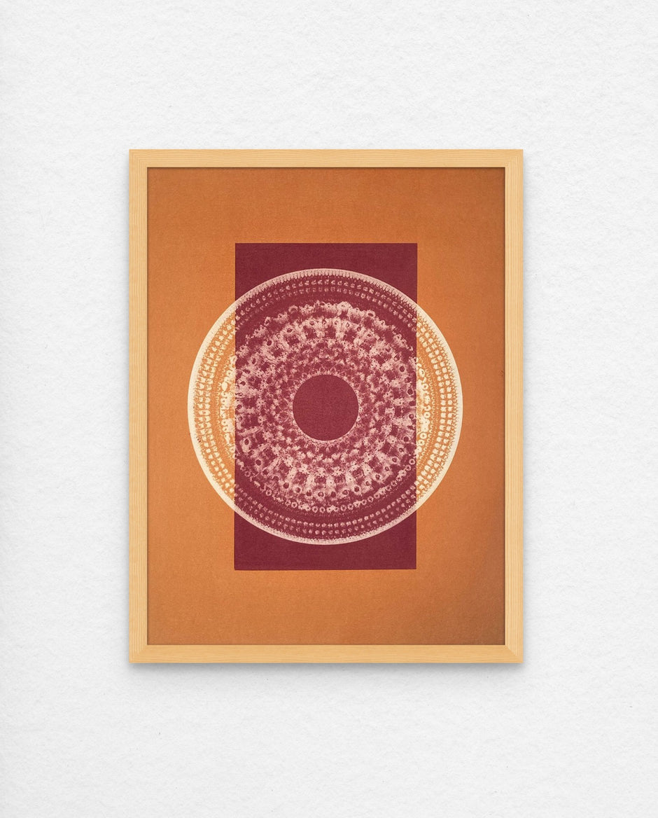 Maxwell Prints Maxwell Prints - Mandala Wall Art