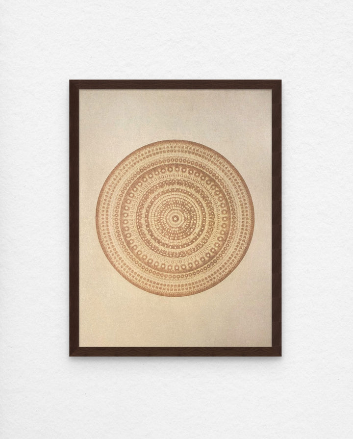 Maxwell Prints Maxwell Prints - Mandala Wall Art